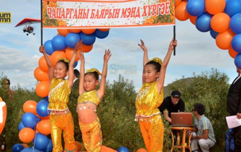100 тонн чацарганатай “Хаан жимс”-ний баяр