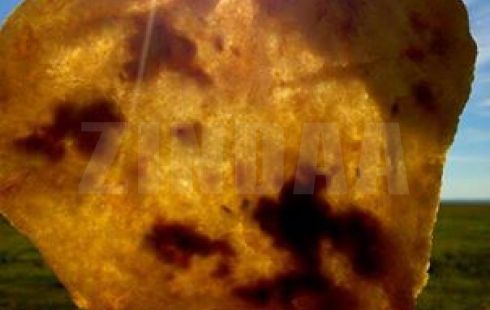 Нар гэрэлтсэн наадмын хуушуур