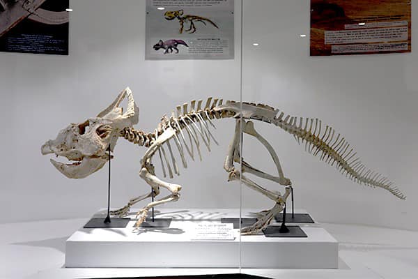 Он гарснаас хойш хууль бусаар археологийн малтлага хийсэн хоёр хэрэг гарчээ